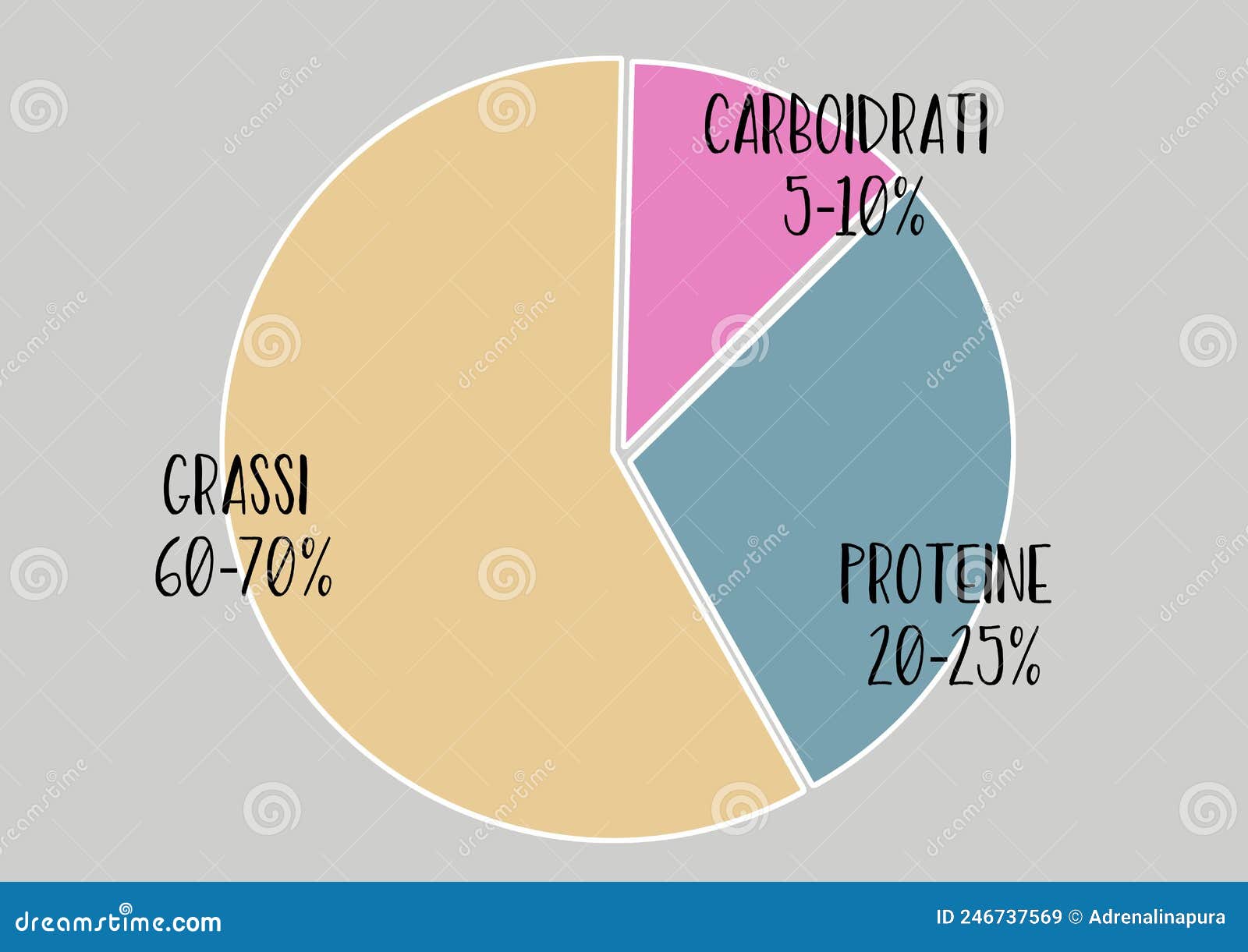 Breakdown of Macronutrients in the Ketogenic Diet Stock Illustration ...