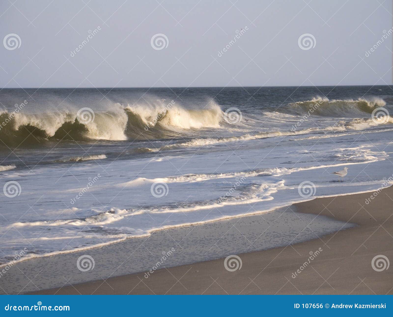 Breaker Waves stock photo. Image of wave, sand, seashore - 107656