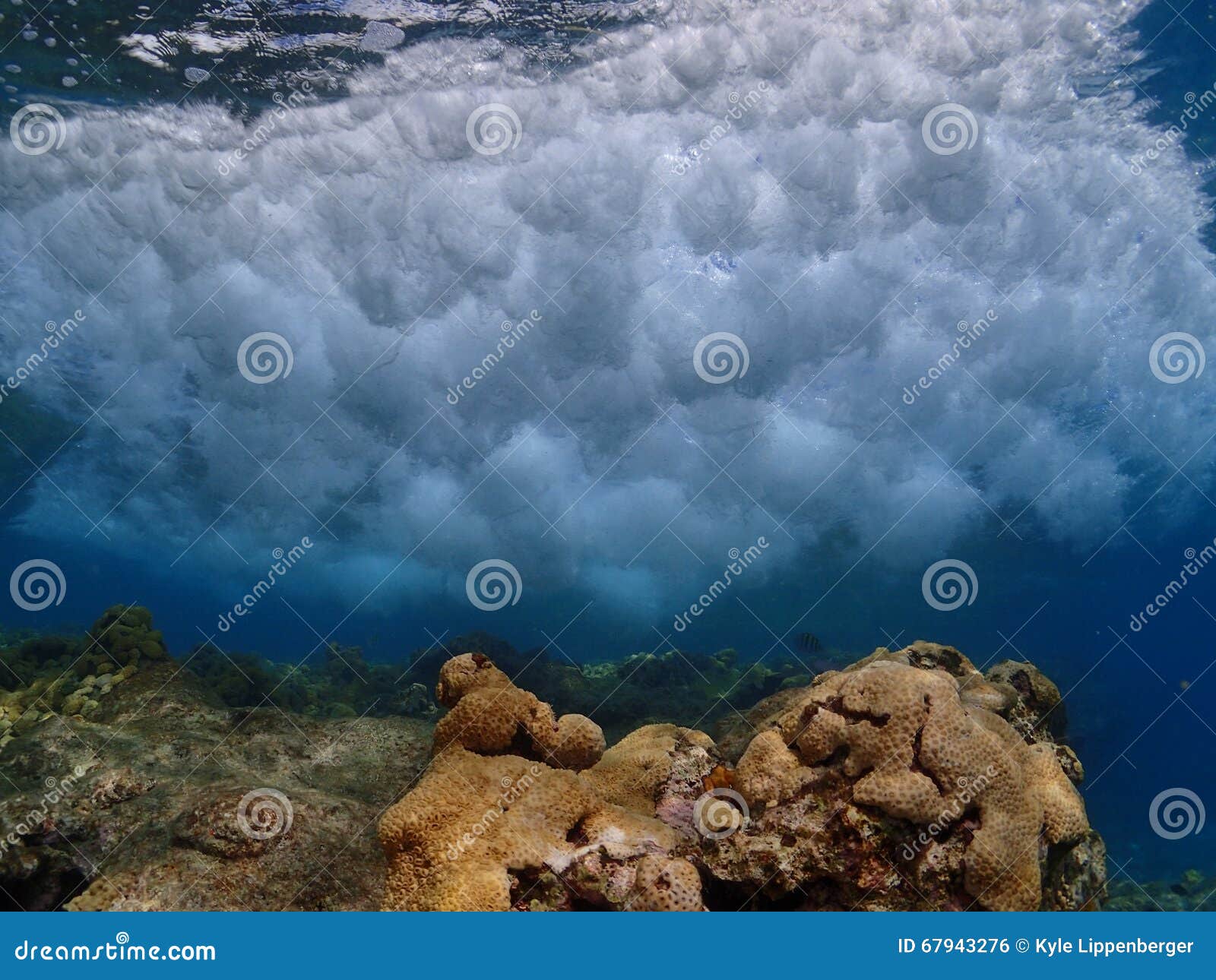Breakers on the Reef stock photo. Image of reef, breakers - 67943276