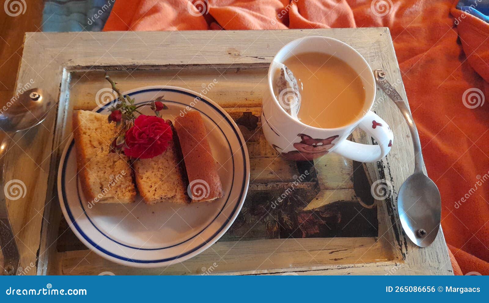 Breakfast in bed with rose stock photo. Image of blanket - 265086656