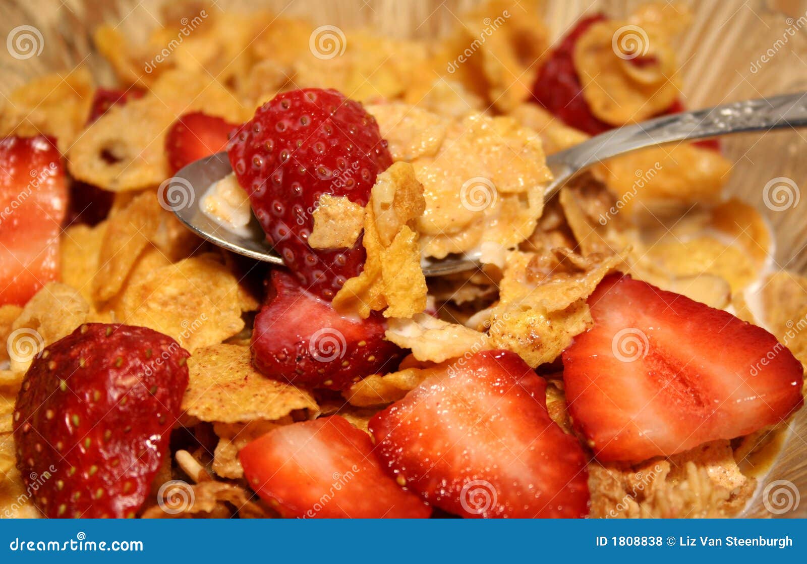 Breakfast Cereal stock photo. Image of breakfast, bowl - 1808838