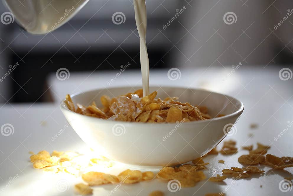 Breakfast Cereal with Milk . Cornflakes with Milk for Breakfast Stock ...