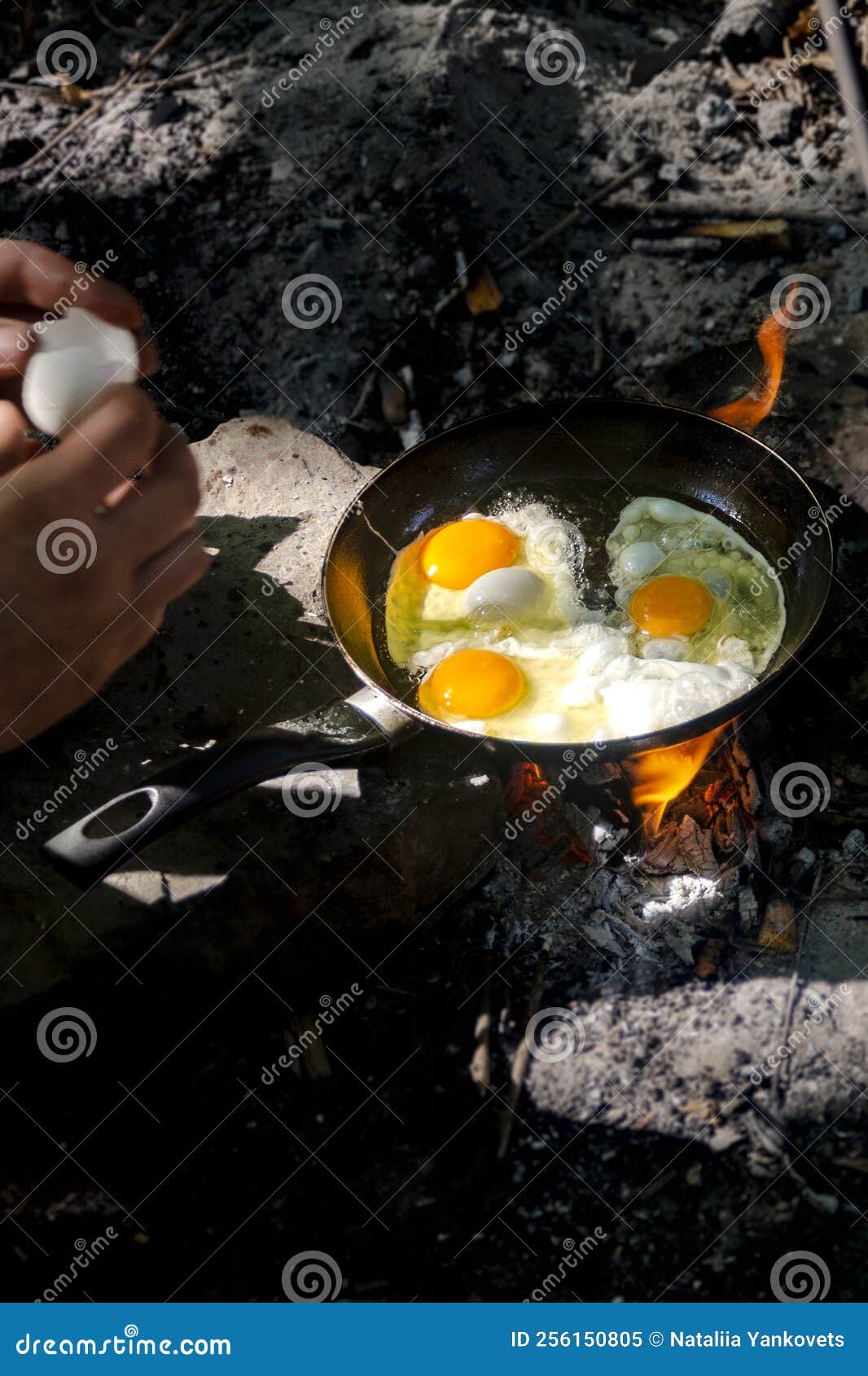 Breakfast on a Hike. Classic Egg in a Frying Pan on a Campfire Stock ...