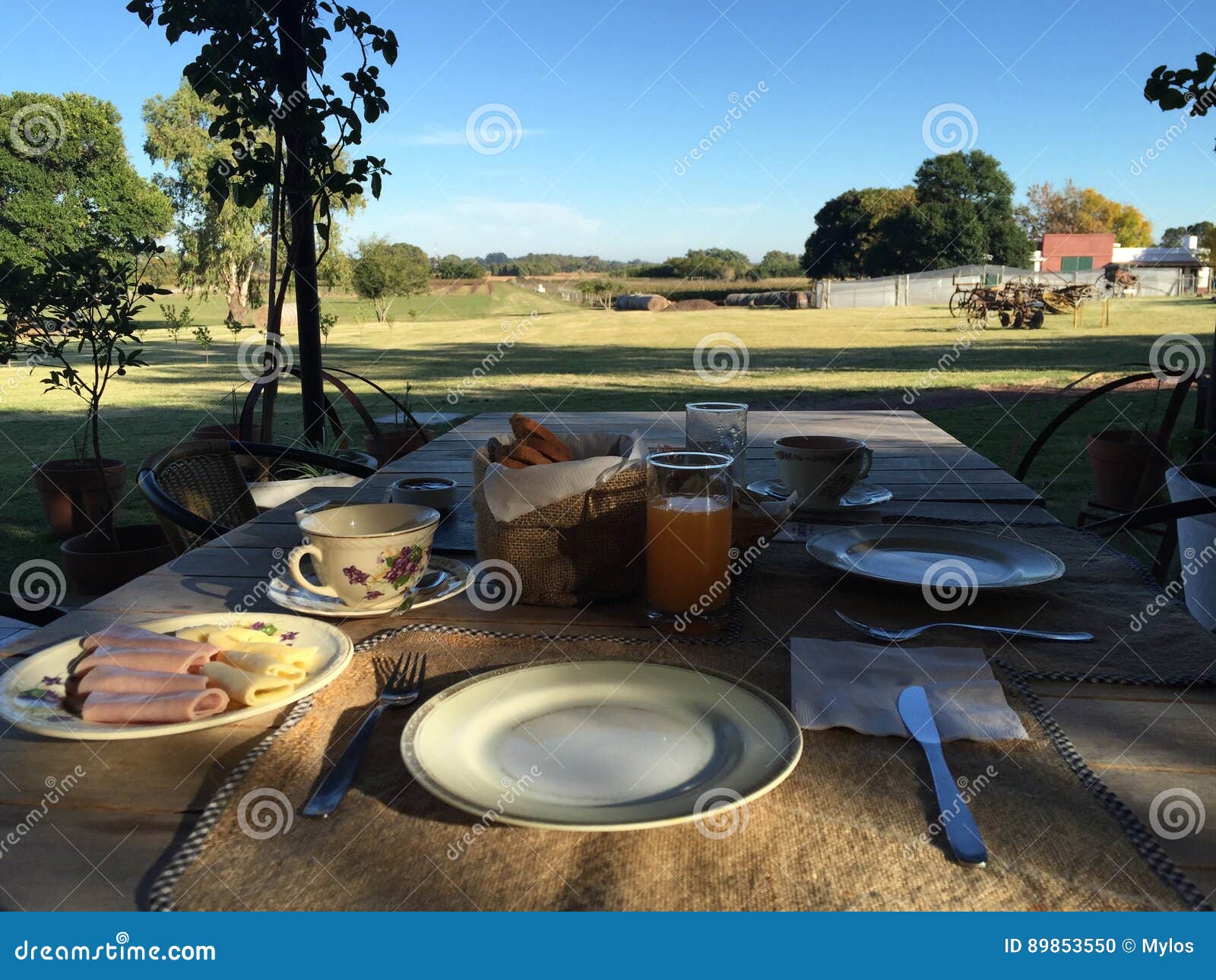 Breakfast in Nature stock photo. Image of outside, nature - 89853550