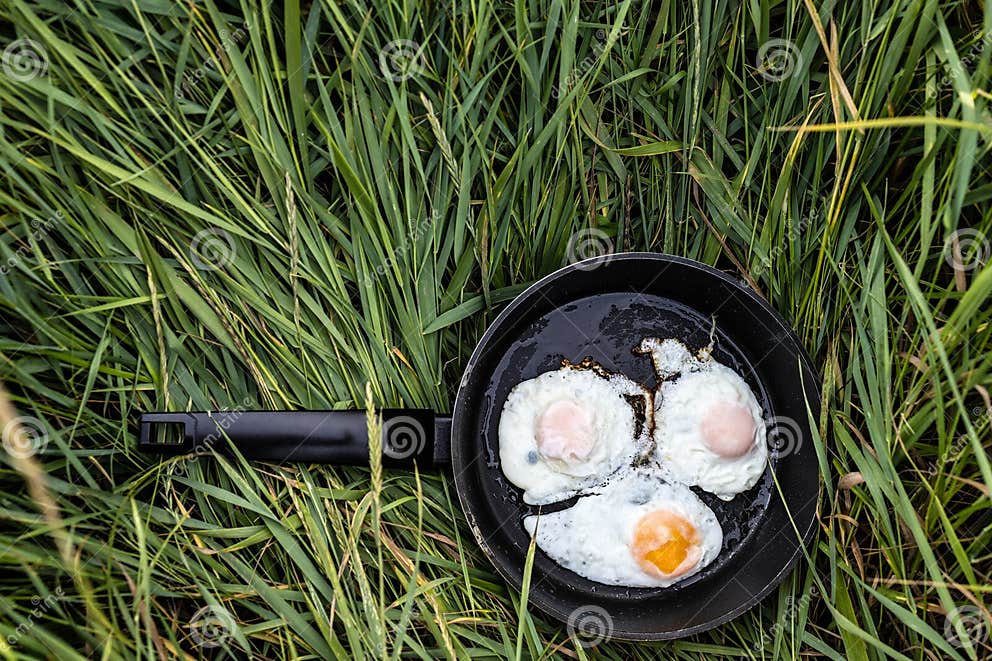 Breakfast in nature stock photo. Image of meal, grass - 285927454