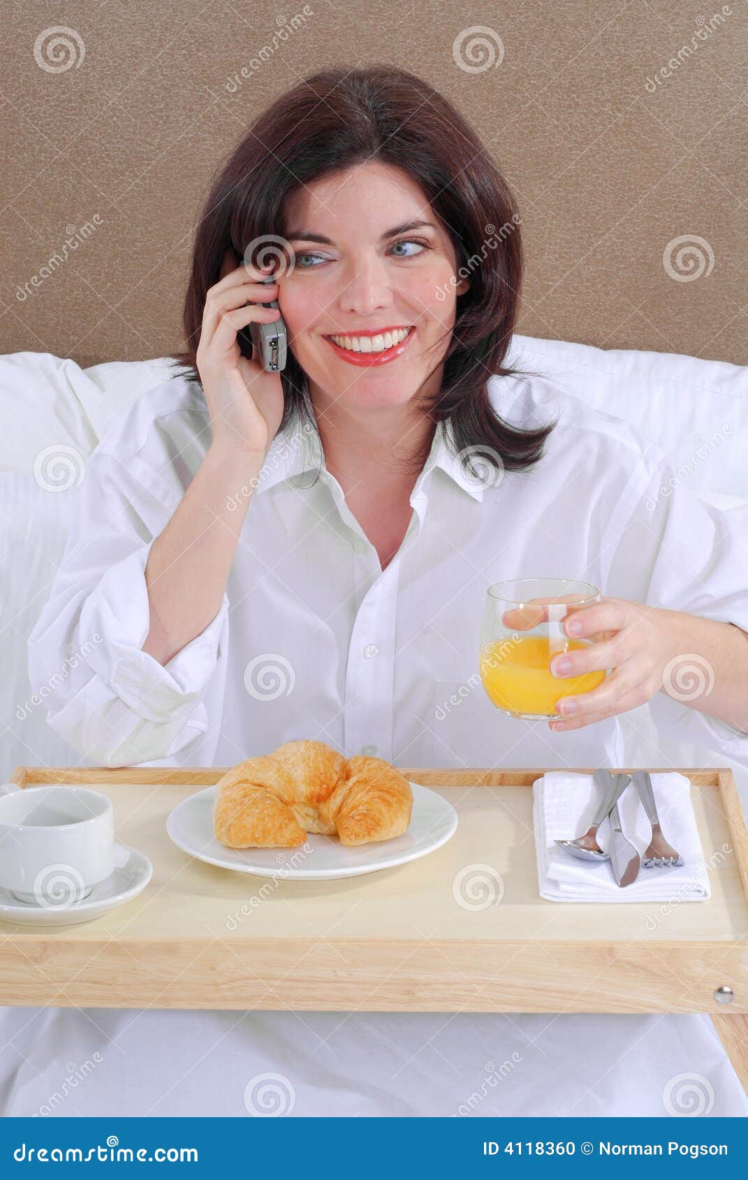 Breakfast Networking stock photo. Image of luxury, female - 4118360