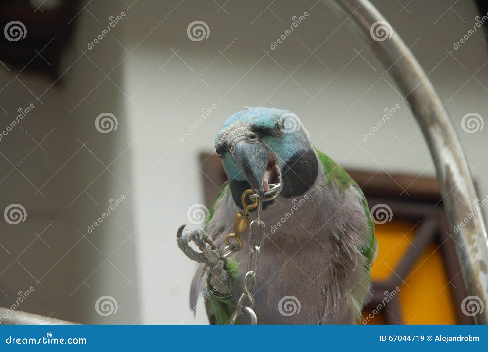 Breaking free stock image. Image of breaking, equality - 67044719