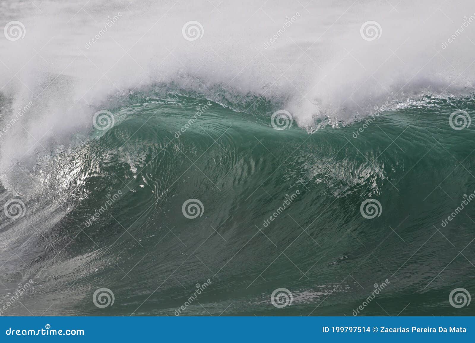 Breaking green wave detail stock photo. Image of beach - 199797514