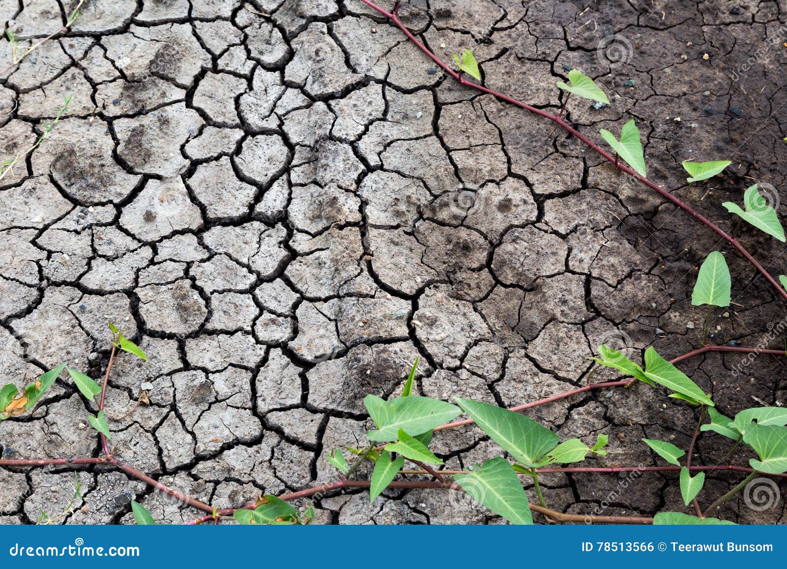 Breaking land stock photo. Image of break, floor, local - 78513566