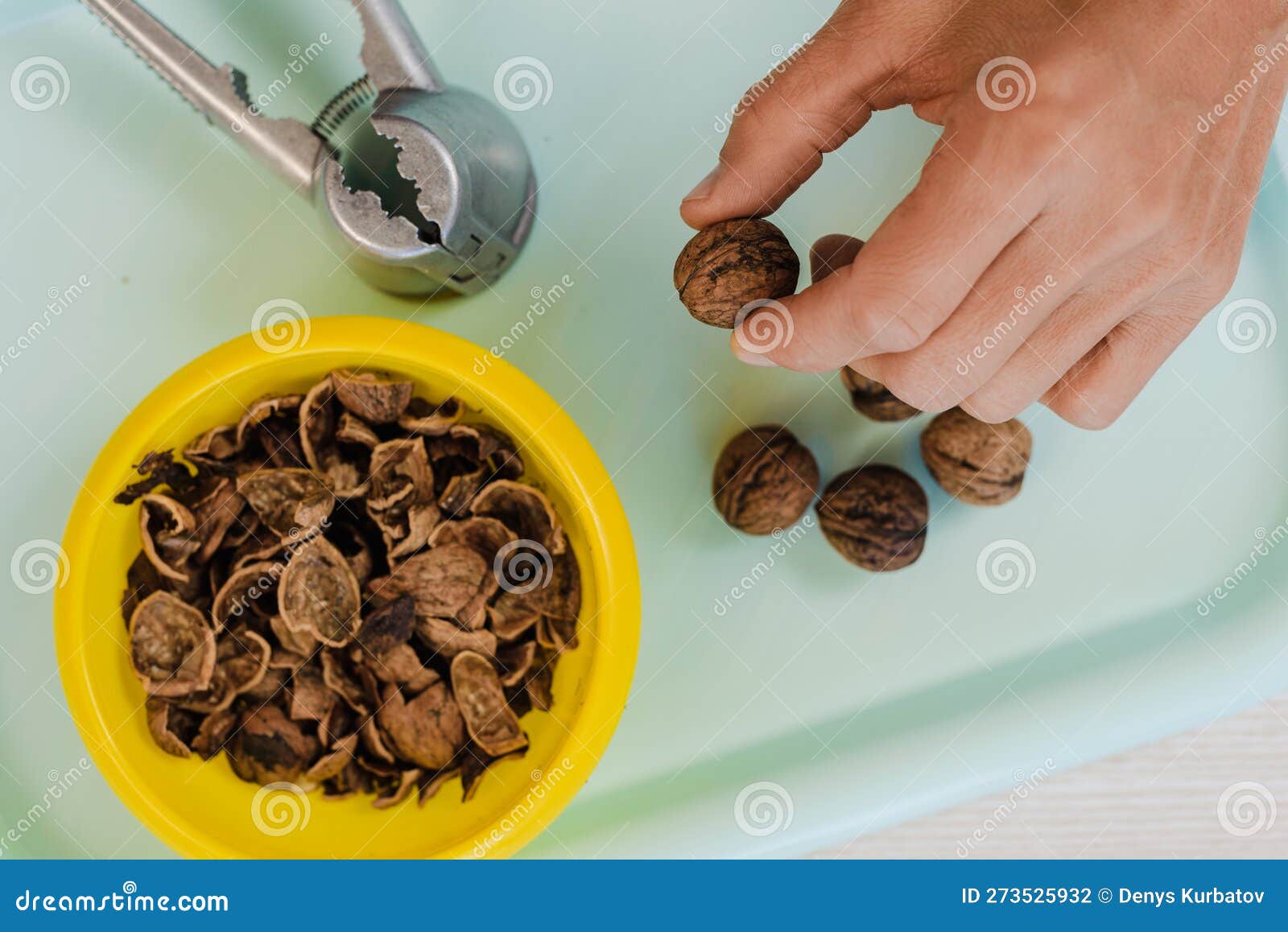 Breaking nuts process stock photo. Image of indoor, equipment - 273525932