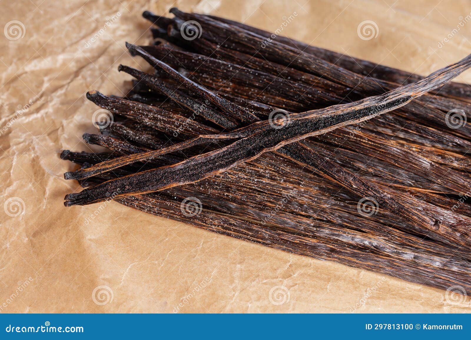 Breaking Open the Shell of a Vanilla Pod Reveals Many Black Seeds ...