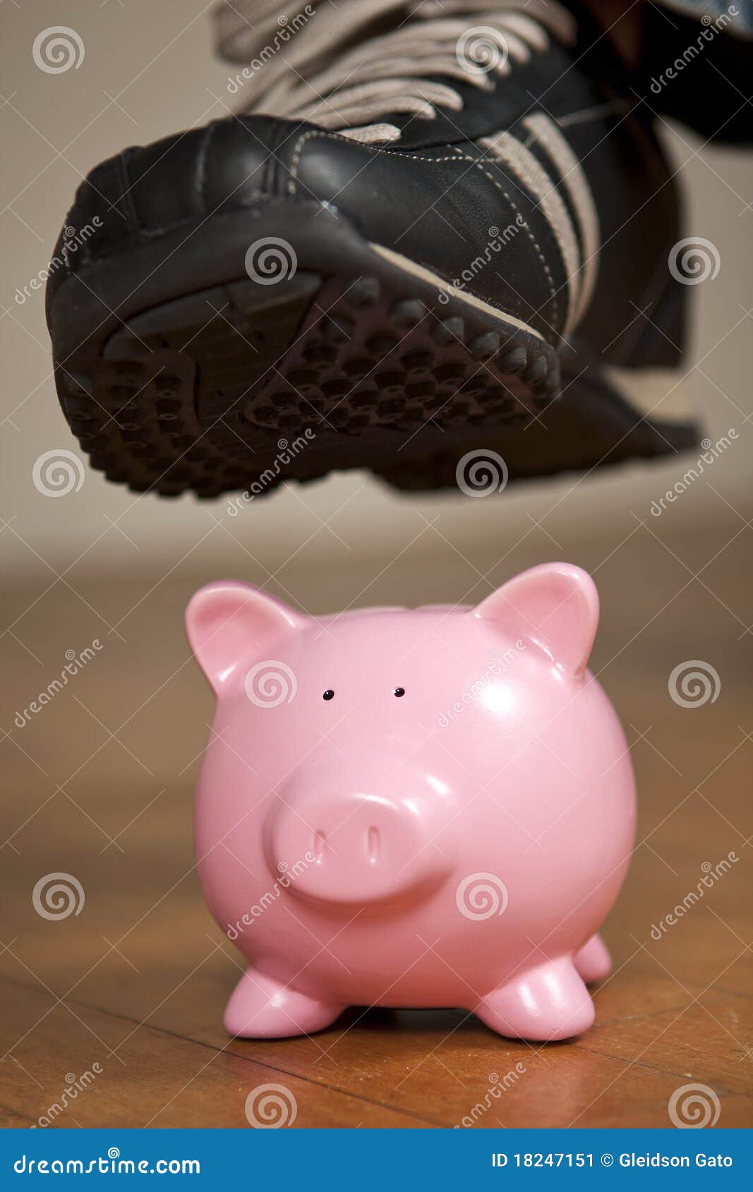 Breaking the Piggy Bank stock image. Image of savings - 18247151