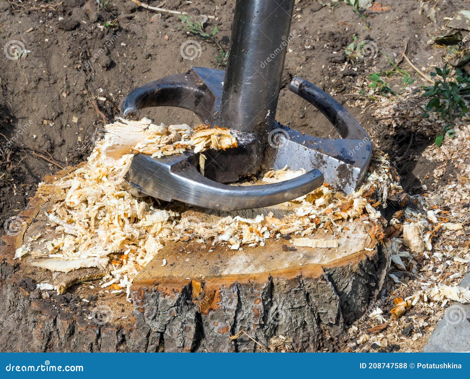 Breaking a Tree Stump with a Cutter Stock Photo - Image of roller ...