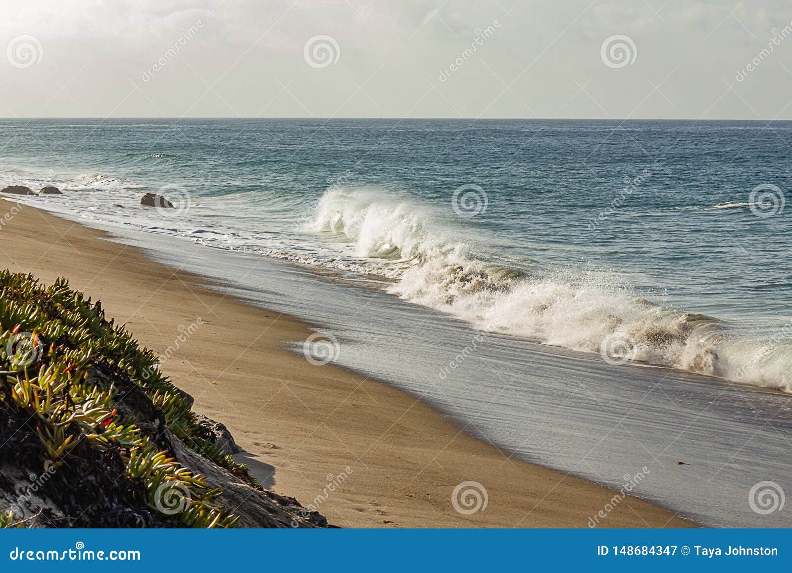Breaking Wave with Backwash on Sandy Beach with Iceplant and a View ...