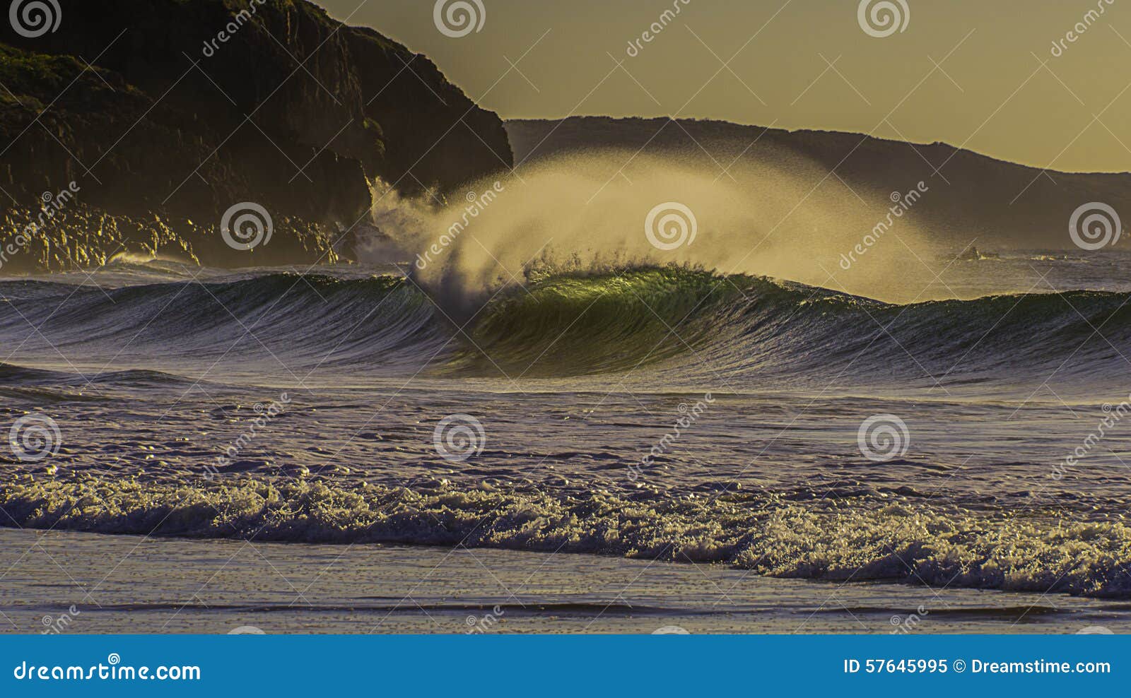 Pelican Frog Stock Photos - Free & Royalty-Free Stock Photos from ...