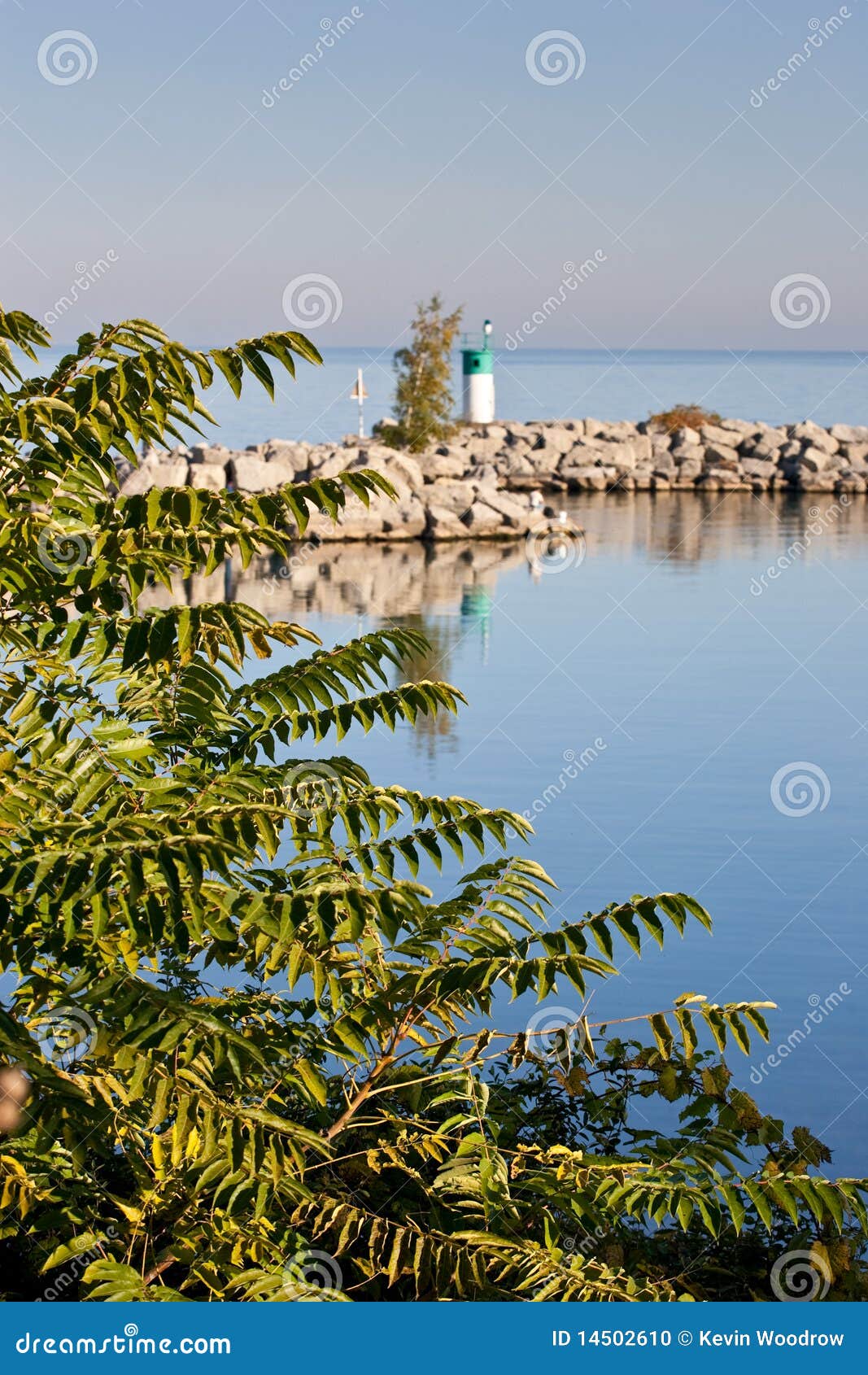 Breakwall Reflection in Still Water Stock Photo - Image of leaves ...