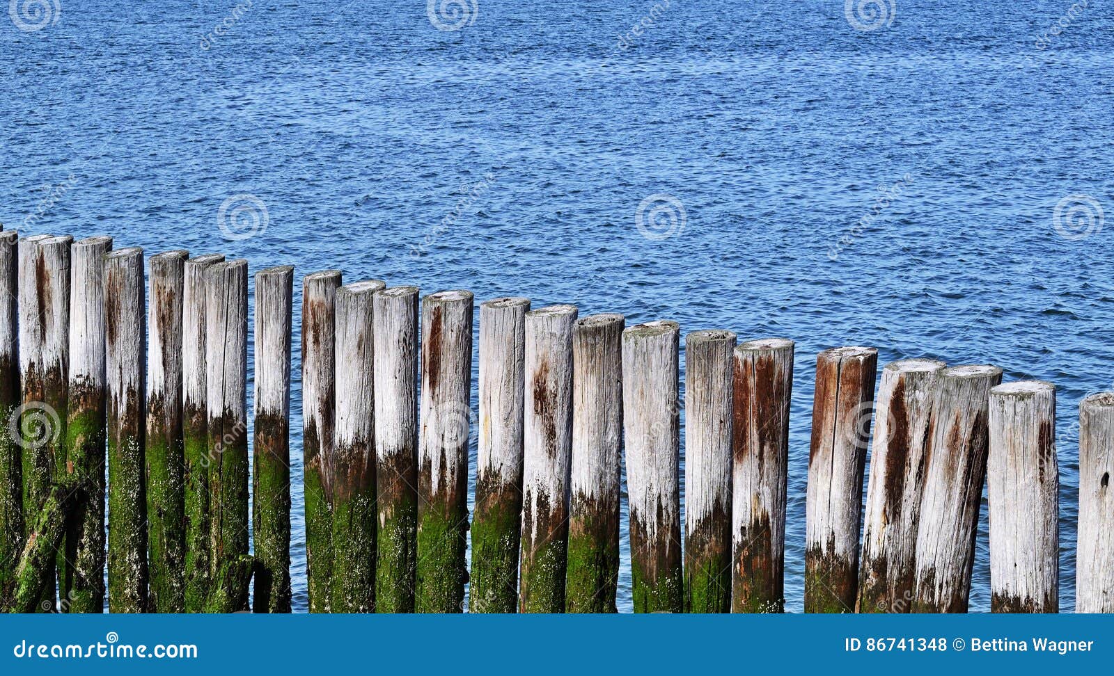 Breakwater stock photo. Image of water, green, harbour - 86741348