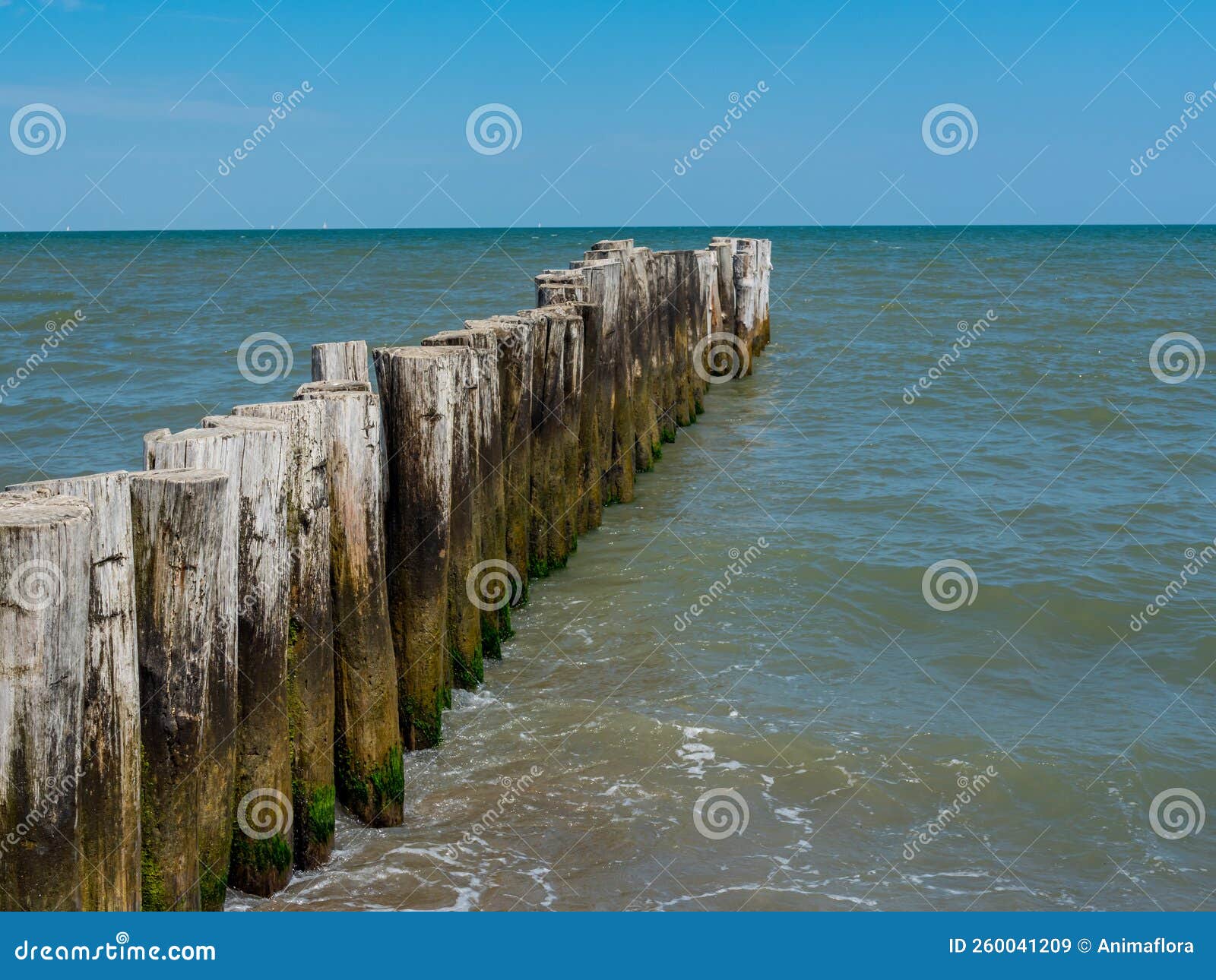 Breakwater on the Beach in the Sea Stock Image - Image of lighthouse ...