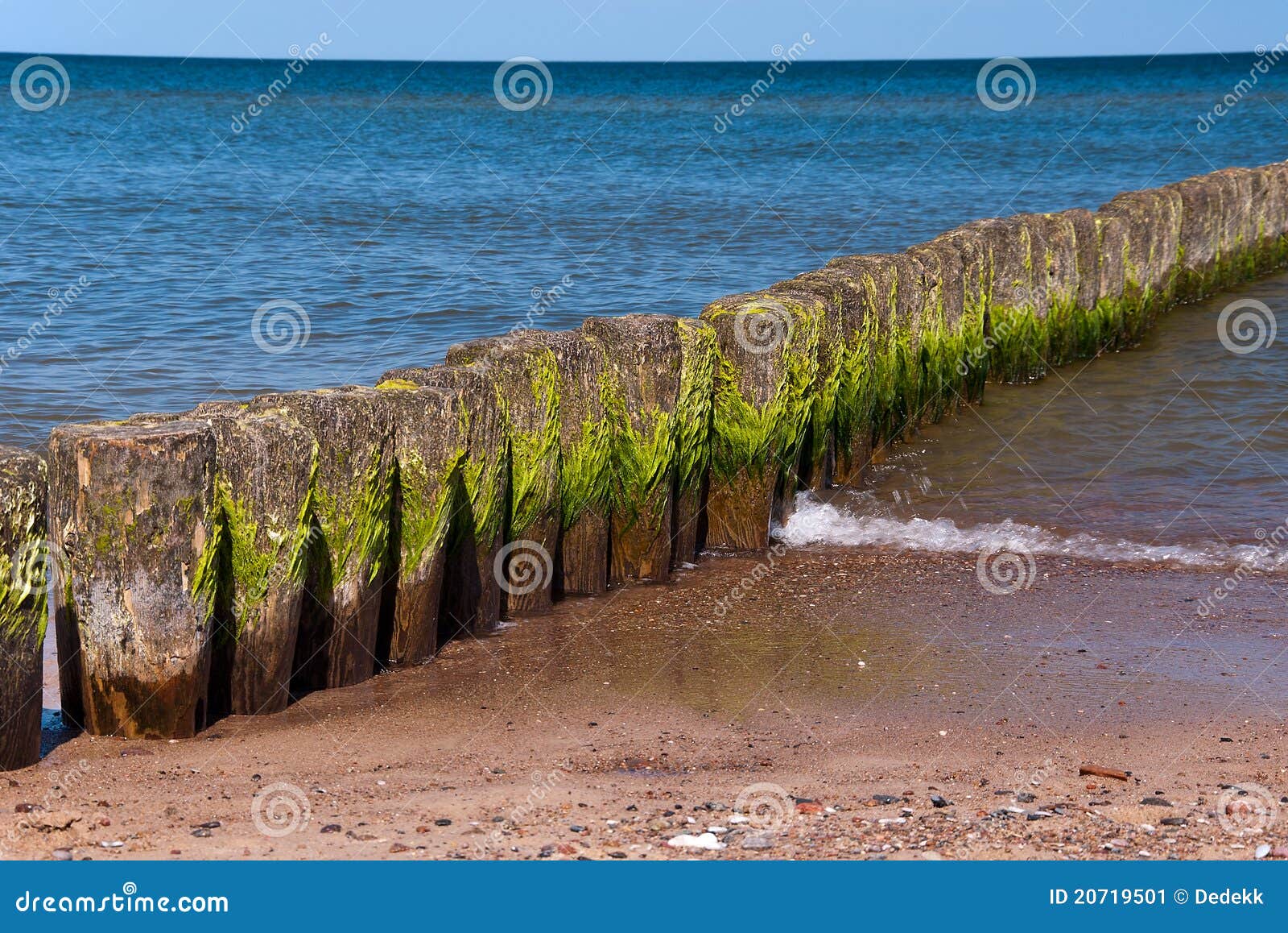 Breakwaters stock image. Image of nature, coast, gull - 20719501