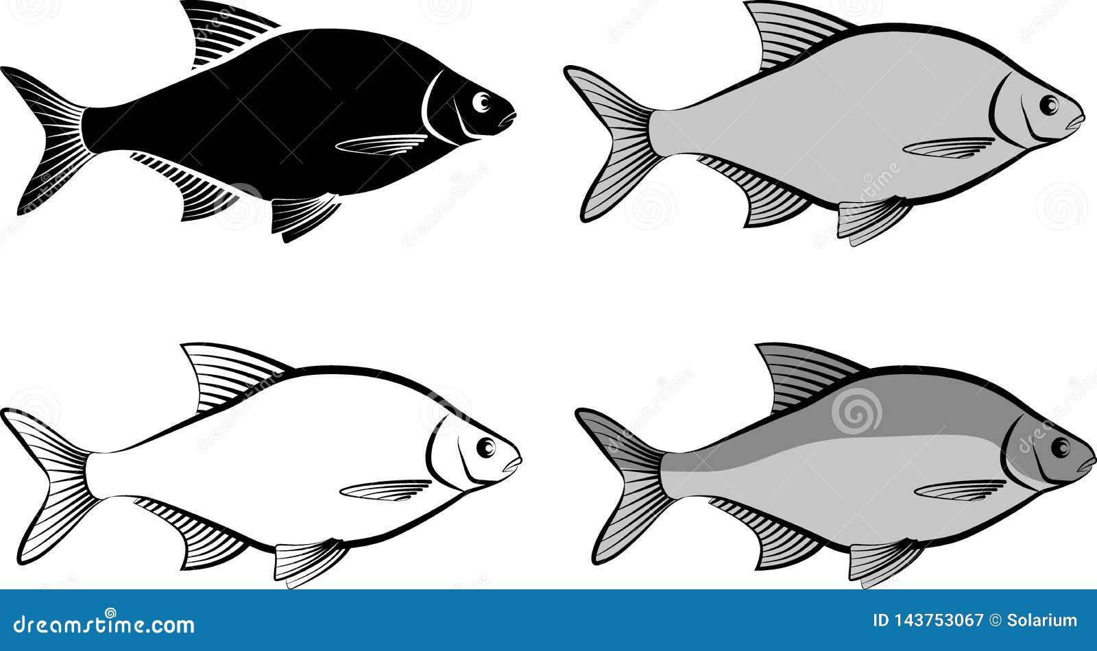 Common Bream, Vector Cartoon Illustration | CartoonDealer.com #67975412