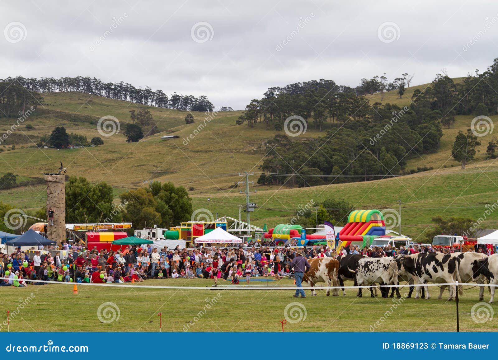 Bream Creek Show editorial stock photo. Image of nature - 18869123
