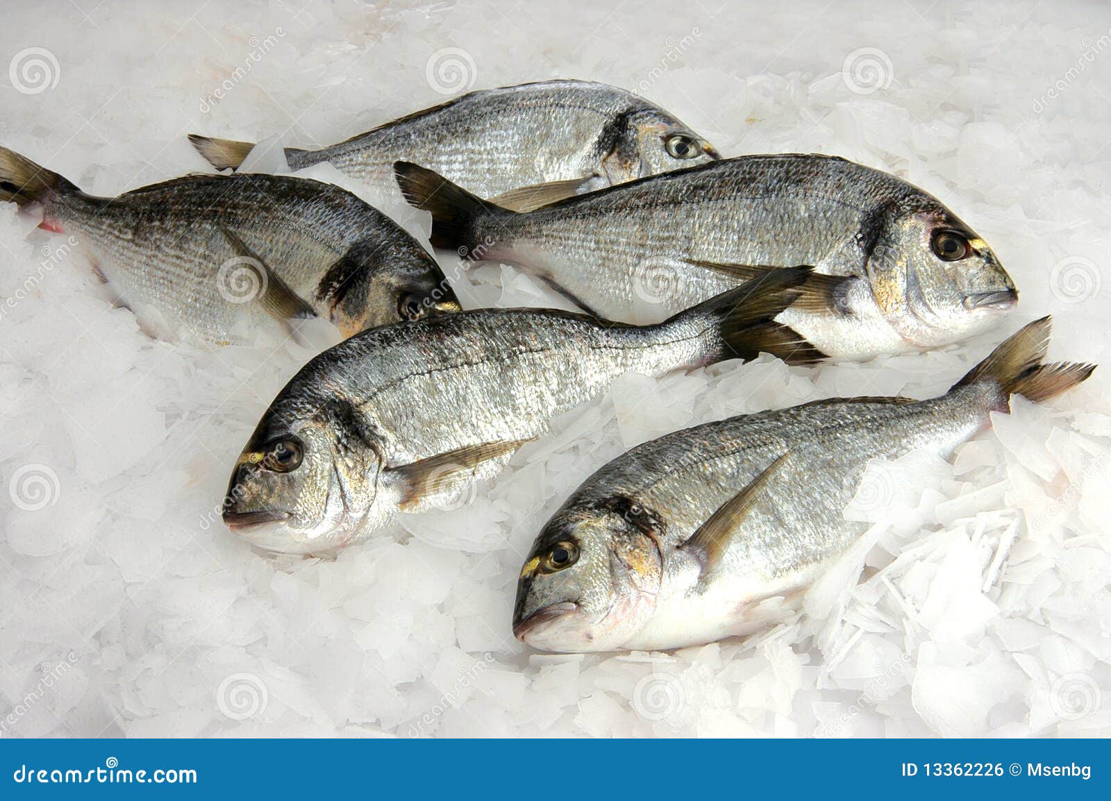 Bream fish stock photo. Image of lamb, potatoes, rack - 13362226