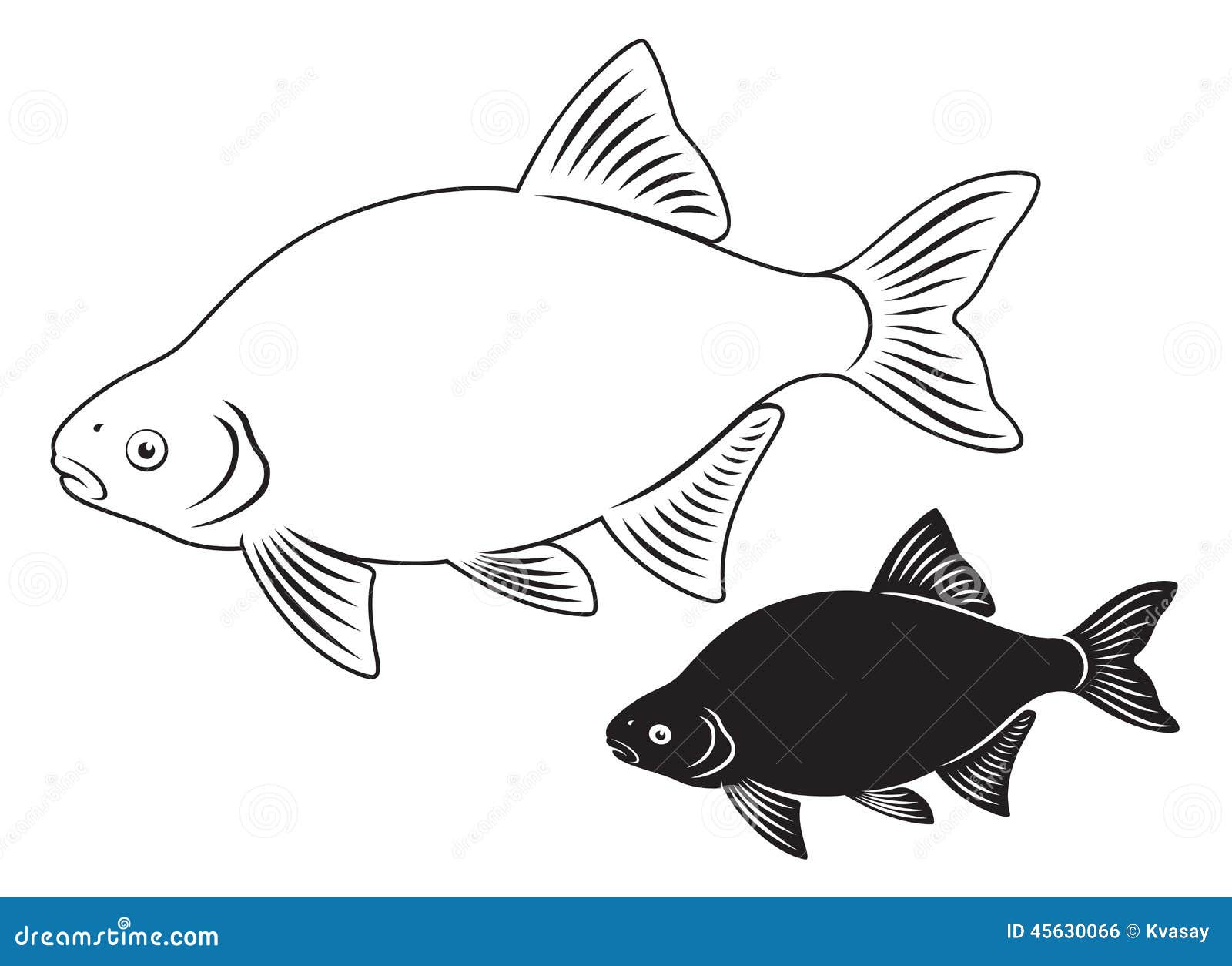 Bream fish stock vector. Illustration of salmon, nature - 45630066