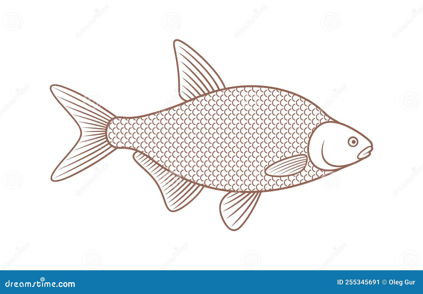 Bream Outline. Isolated Bream on White Background Stock Vector ...