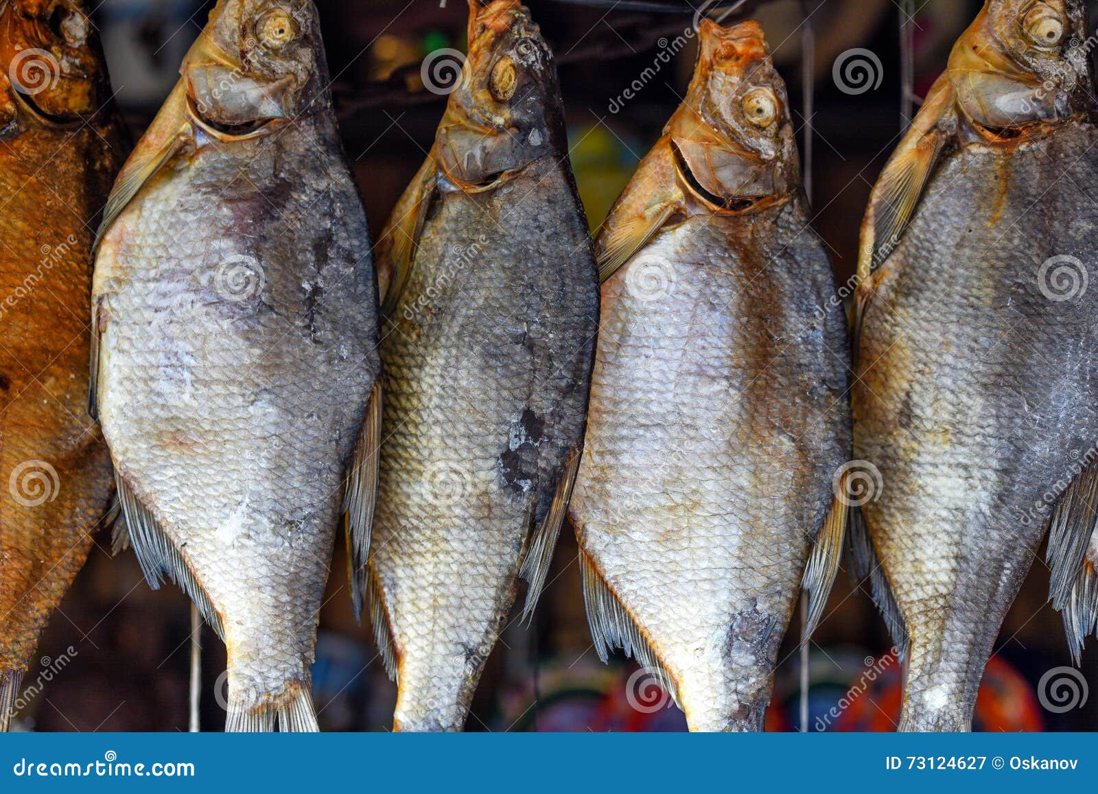 Bream river fish stock image. Image of dining, freshwater - 73124627