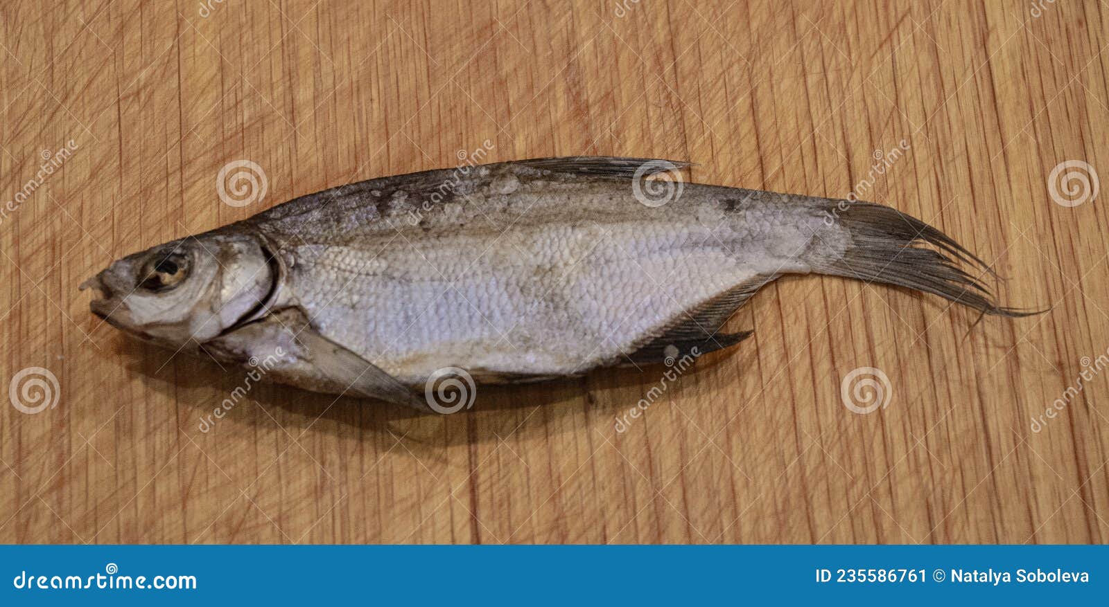 Dried Bream Fish Lying on the Table Stock Image - Image of knife ...