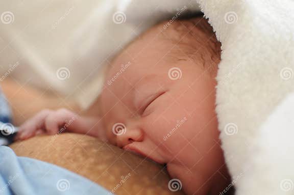 Breastfeeding a newborn stock photo. Image of child, labor - 18287244