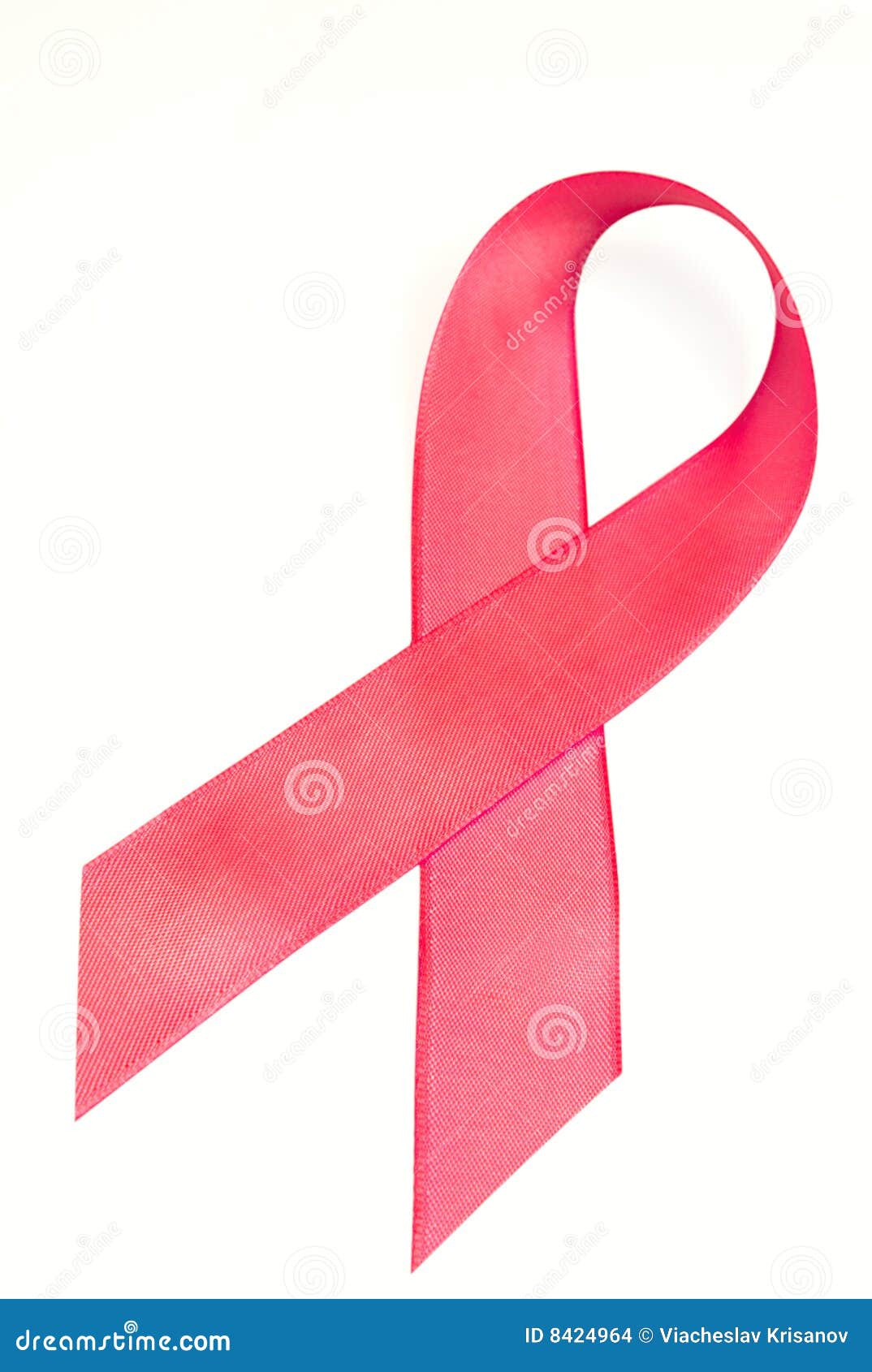 Breat Cancer Ribbon on White Stock Photo - Image of color, pink: 8424964