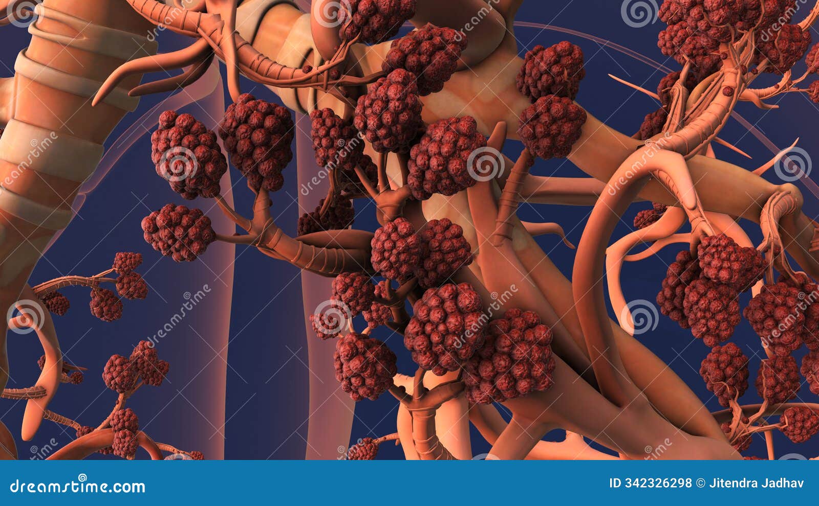 Breathing Alveoli within Structure of Human Lungs Stock Illustration ...