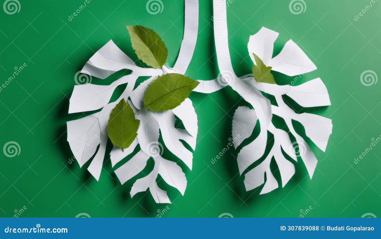 Breathing Life into Art - a Creative Anatomy Stock Illustration ...