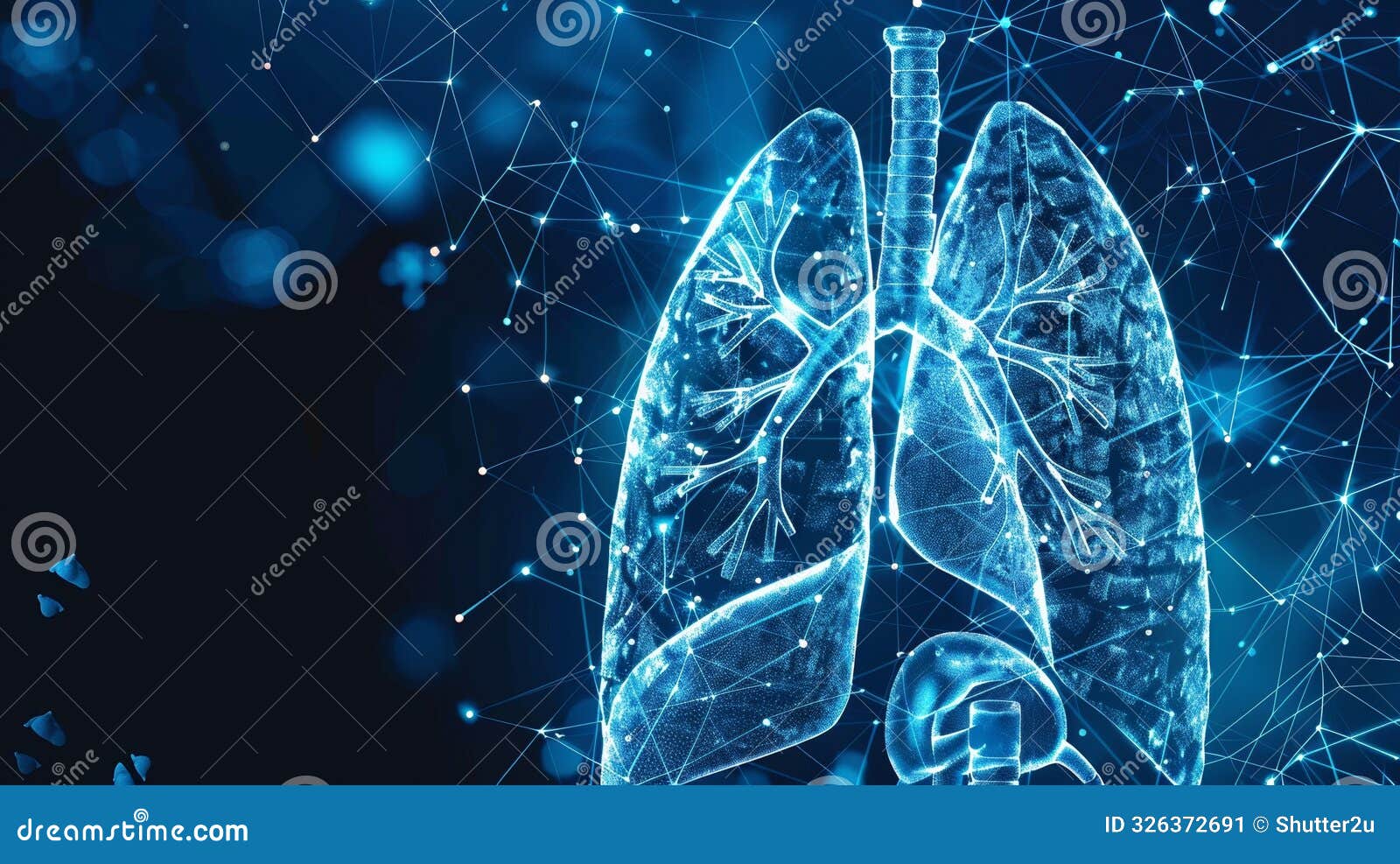 Digital Lung Anatomy Visualization. AI Generated. Stock Photo ...