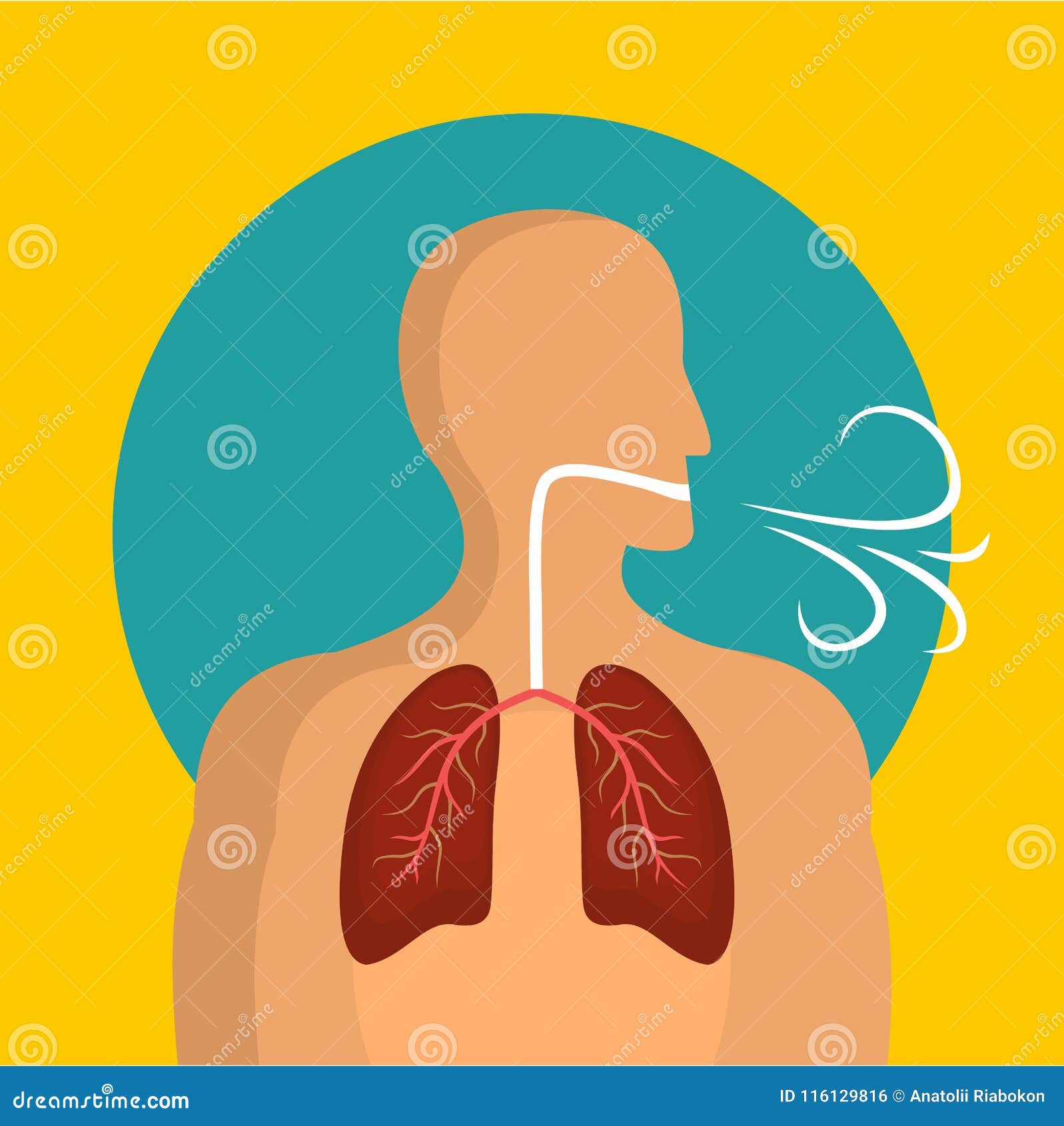 Breathing Lungs Icon, Flat Style Stock Vector - Illustration of ... Breathing Lungs Icon, Flat Style Stock Vector - Illustration of ...