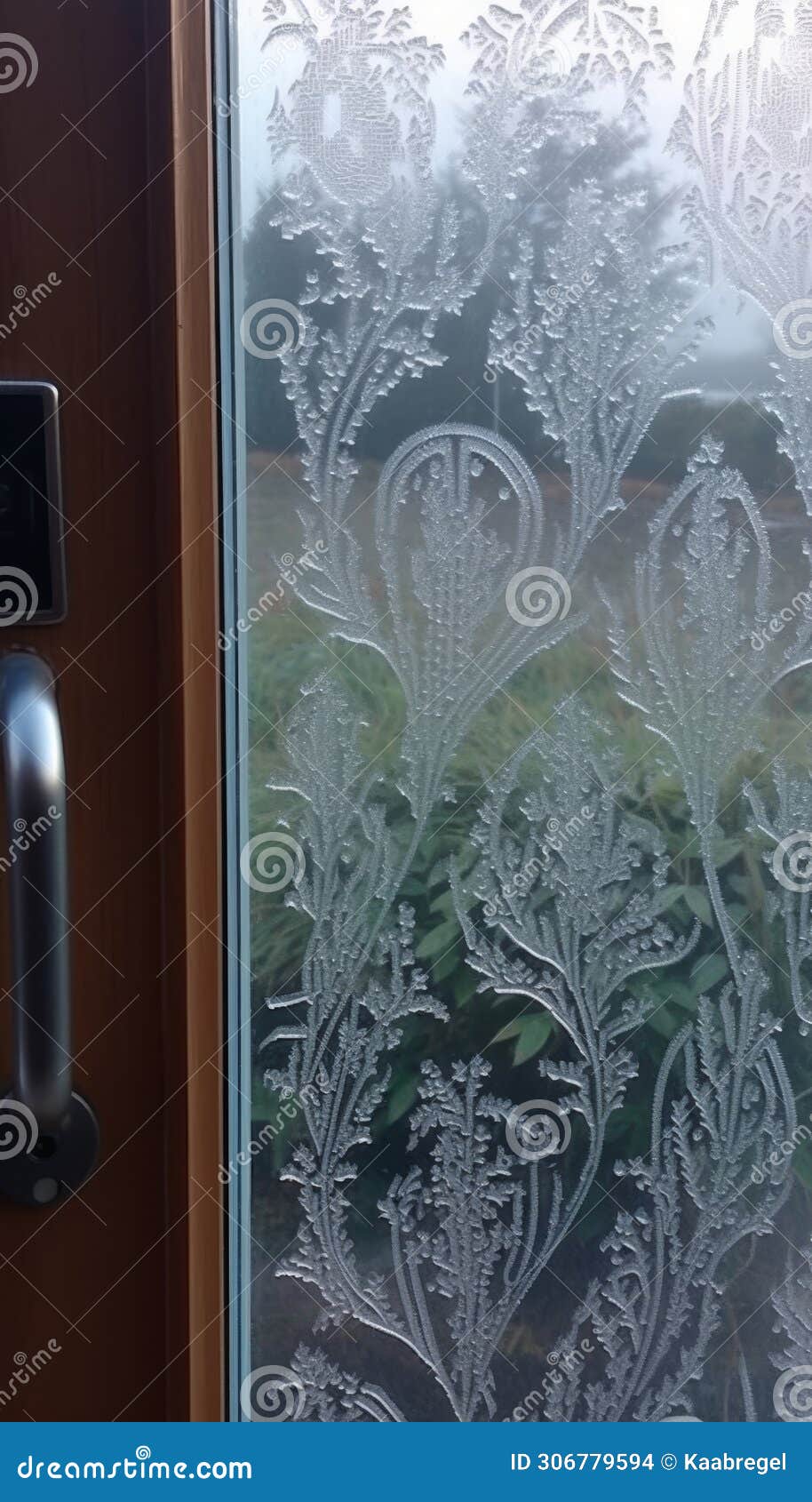 Breathtaking Frozen Windows. Unveiling the Sublime Beauty of Delicate ...