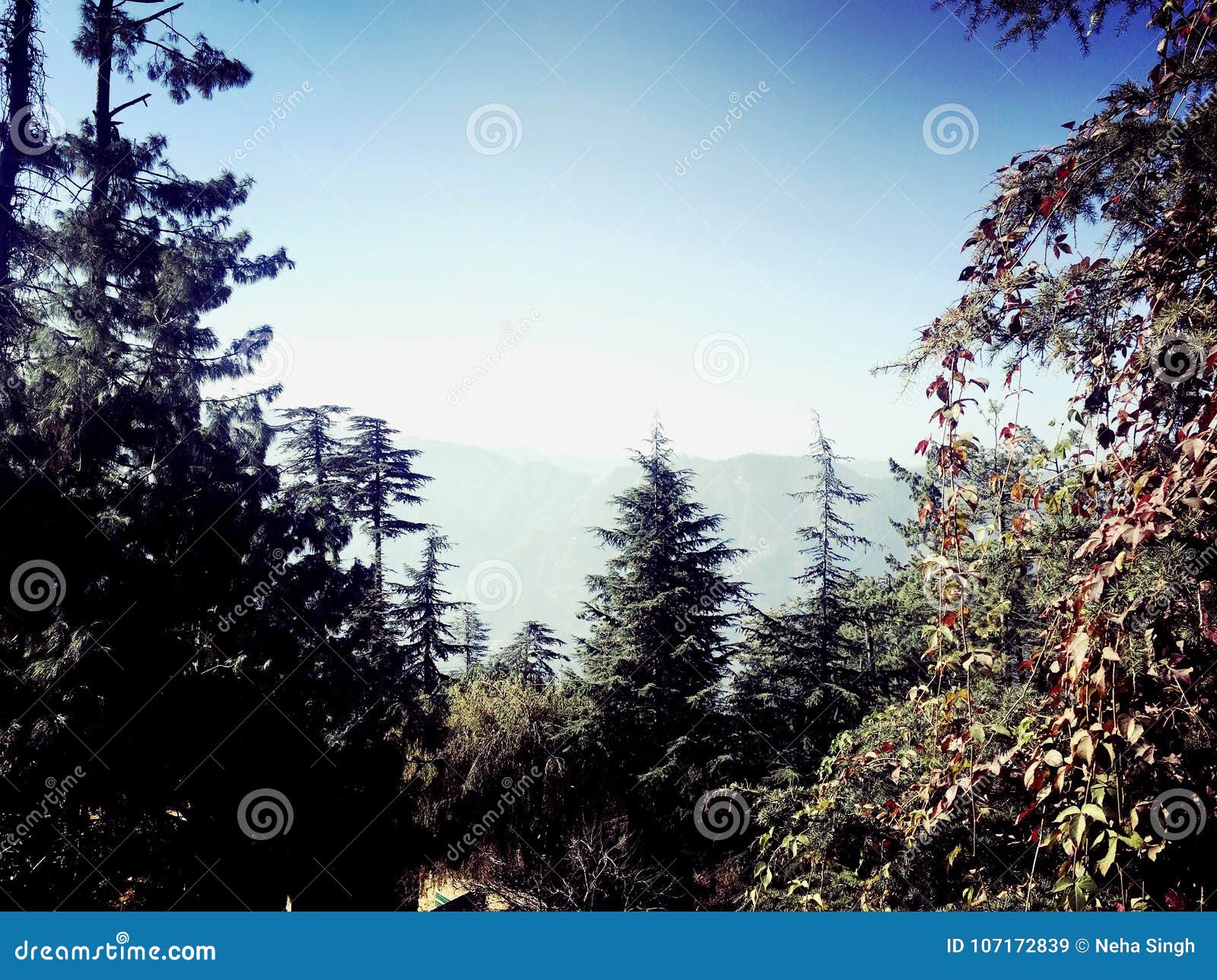 Breathtaking Nature at Its Best Stock Image - Image of breathtaking ...