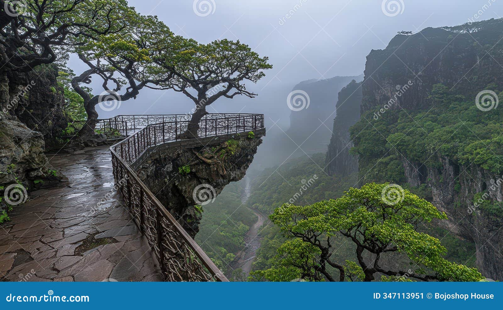 Majestic Mountaintop Vista Panoramic Forest Cliffside Trail Stock ...