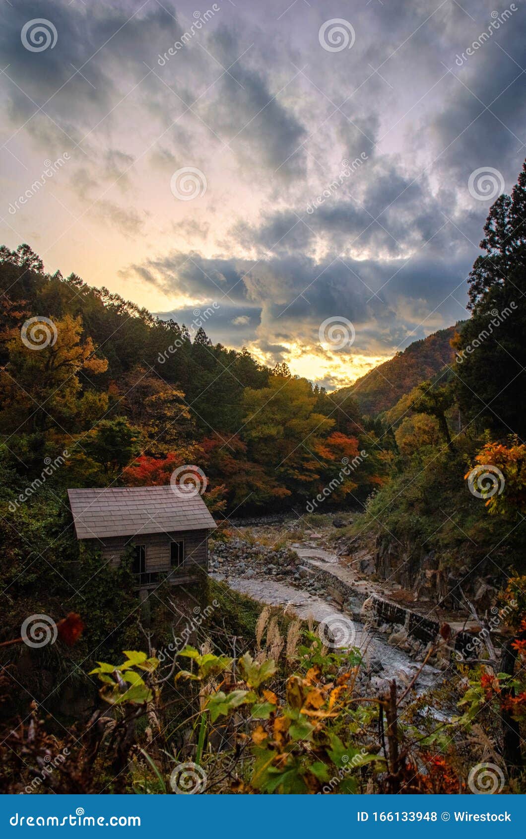 Breathtaking Scenery of the Sun Rising Over the Mesmerizing Autumn ...