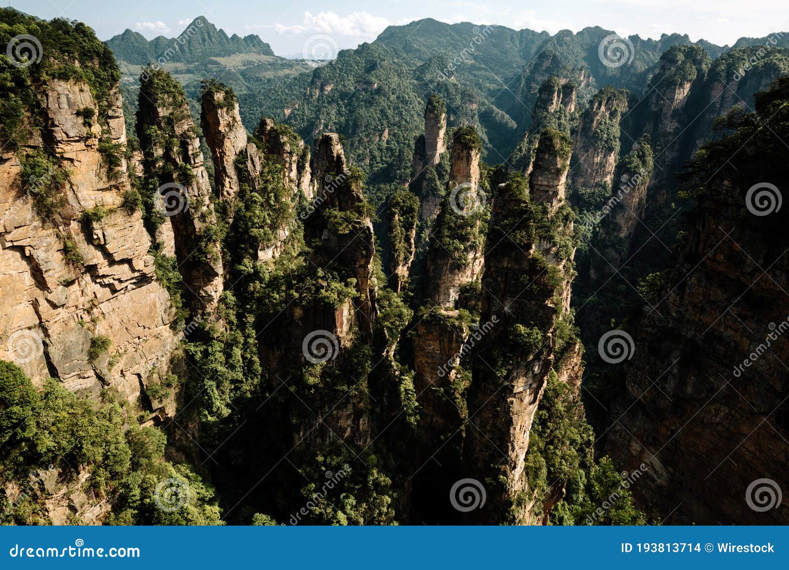 Breathtaking Shot of High Stones Covered by Trees with Mountain ...