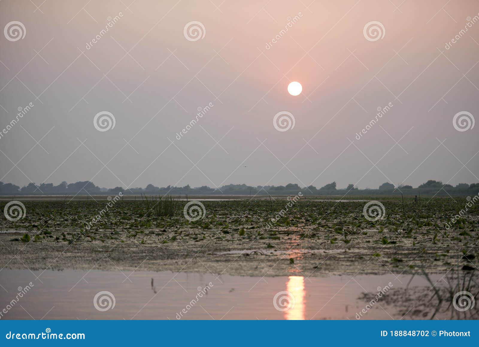 Breathtaking Sunset in Danube Delta, Romania, in a Summer Day Stock ...