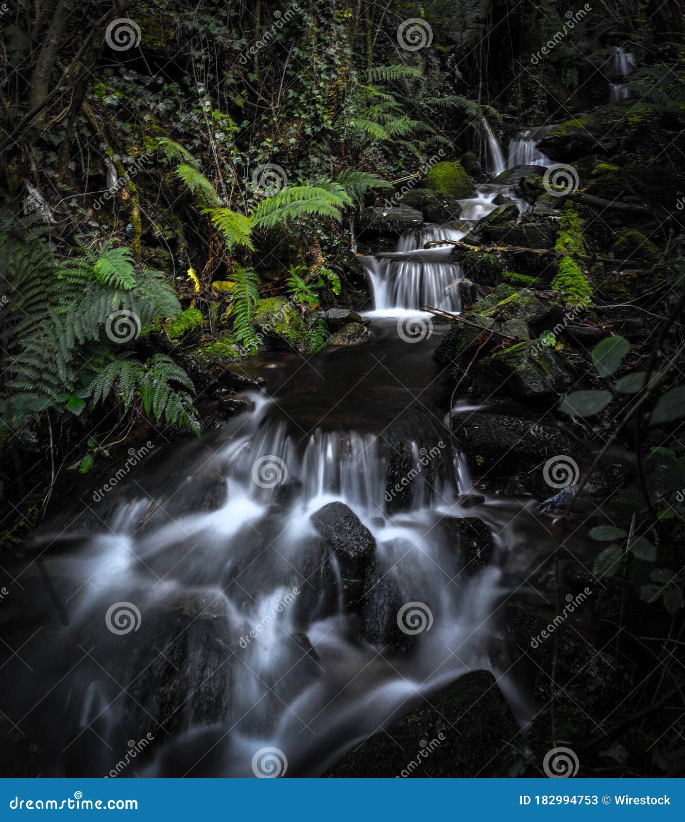 Breathtaking View of a Cascade Waterfall in a Forest among Green ...