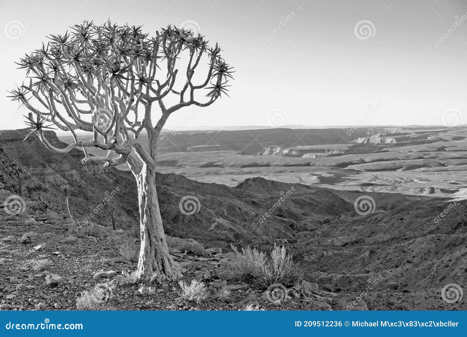Breathtaking View of the Fish River Canyon from Rockefeller`s Fish ...