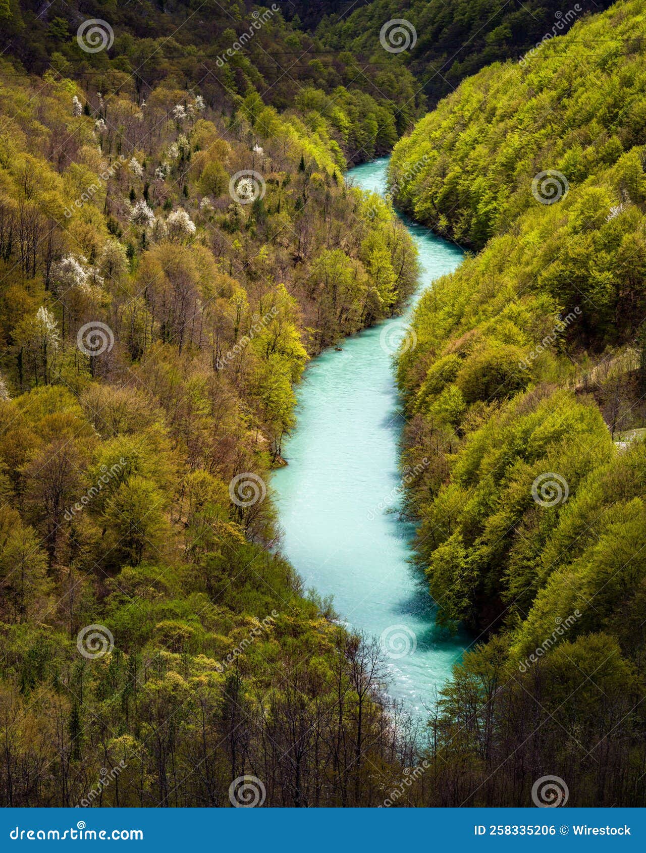 Breathtaking View of Tara River Canyon in Montenegro Stock Photo ...