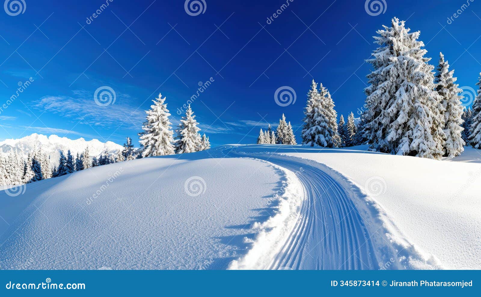 Breathtaking Winter Landscape Featuring Winding Snowy Path and Tall Trees Stock Illustration ...