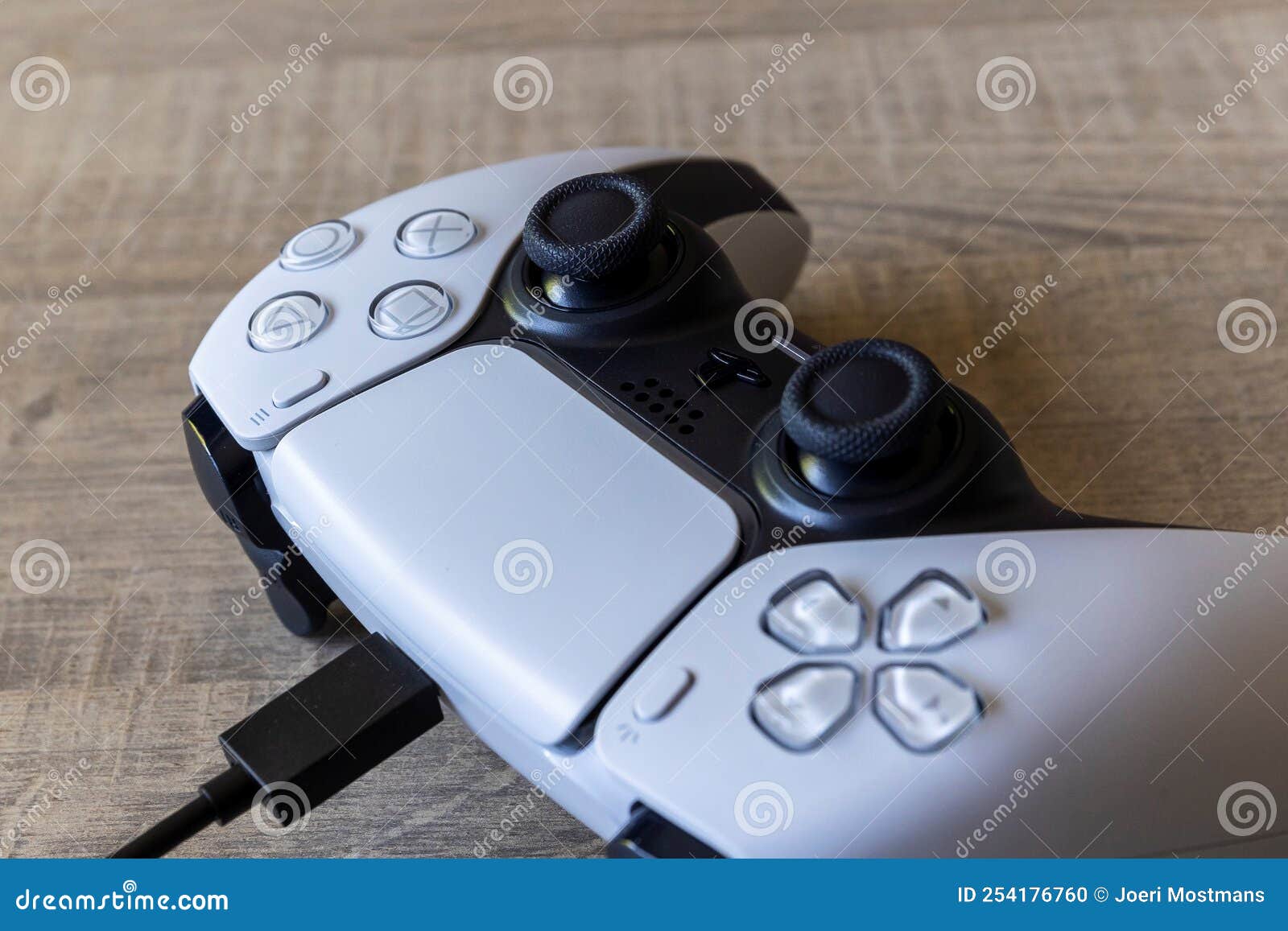 BRECHT, BELGIUM â€“ AUGUST 14 2022: a Close Up Portrait of a White ...