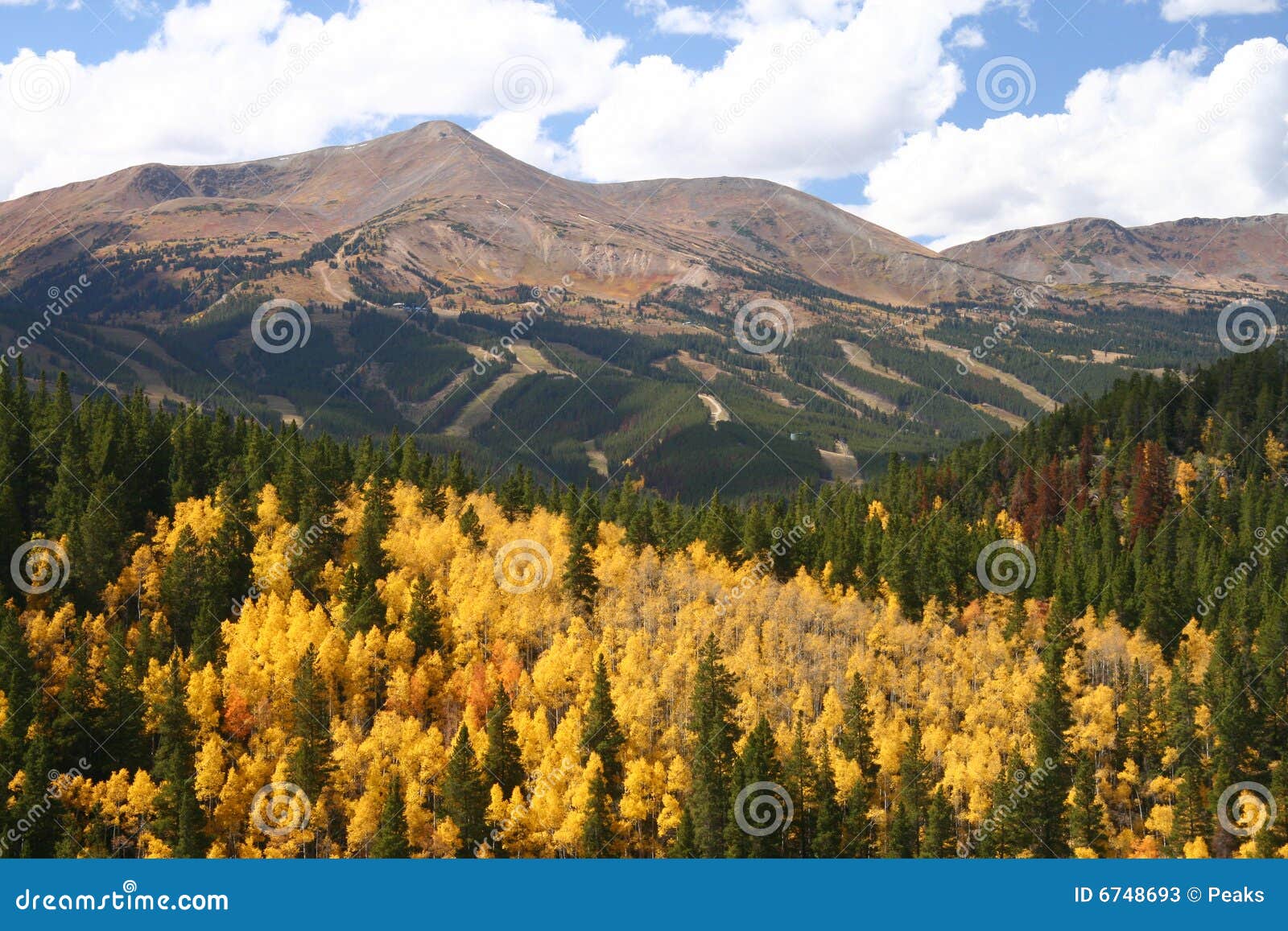 Breckenridge Fall Colors stock image. Image of display - 6748693