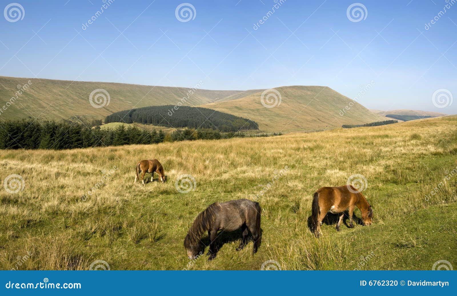 Brecon beacons stock photo. Image of brecon, scenics, mountain - 6762320