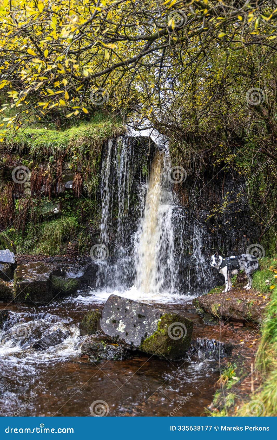 Brecon Beacons Blaen Y Glyn Isaf River and Waterfall Walk Stock Image ...